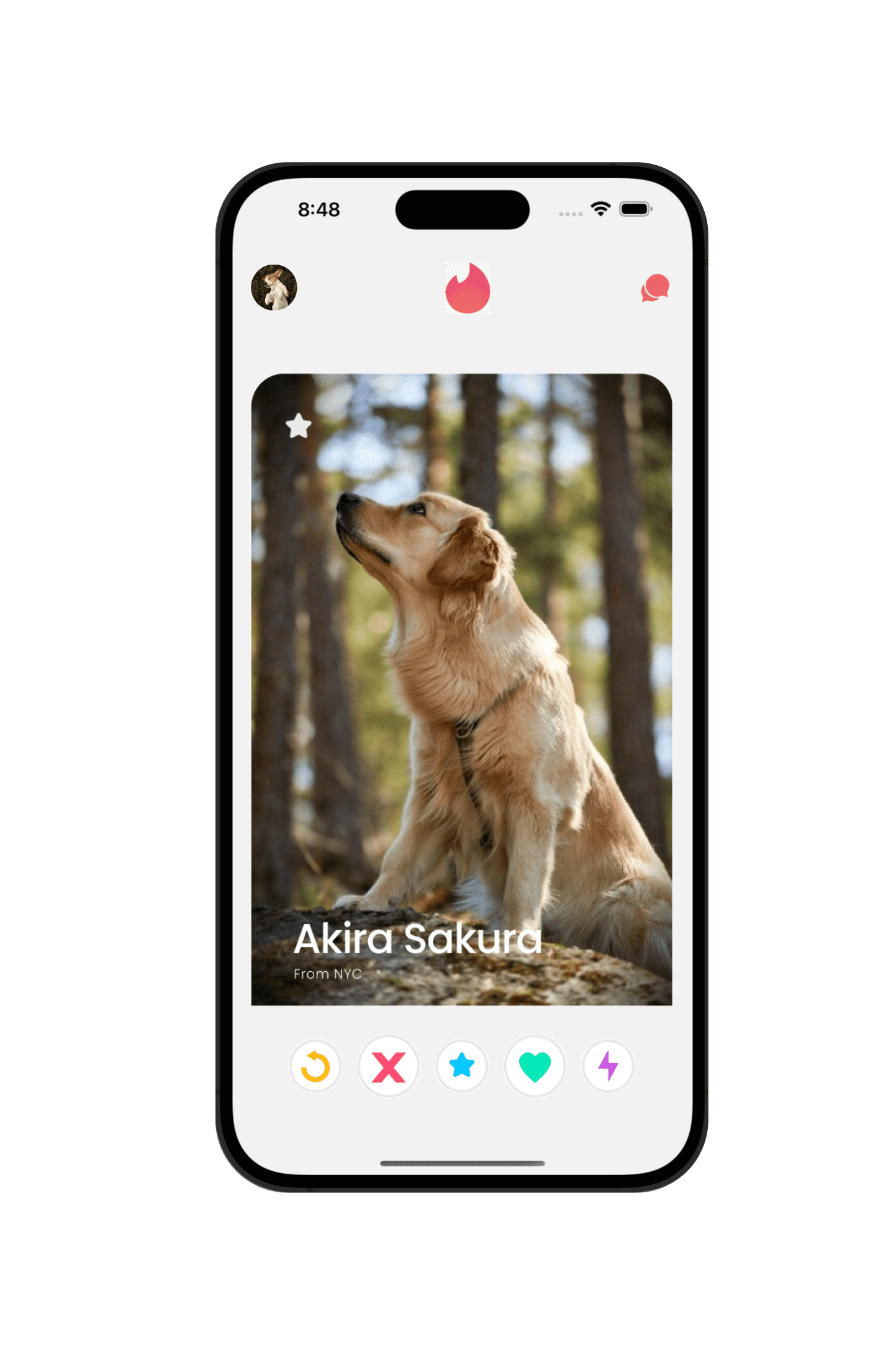 Barker! Tinder for dogs. Woof.